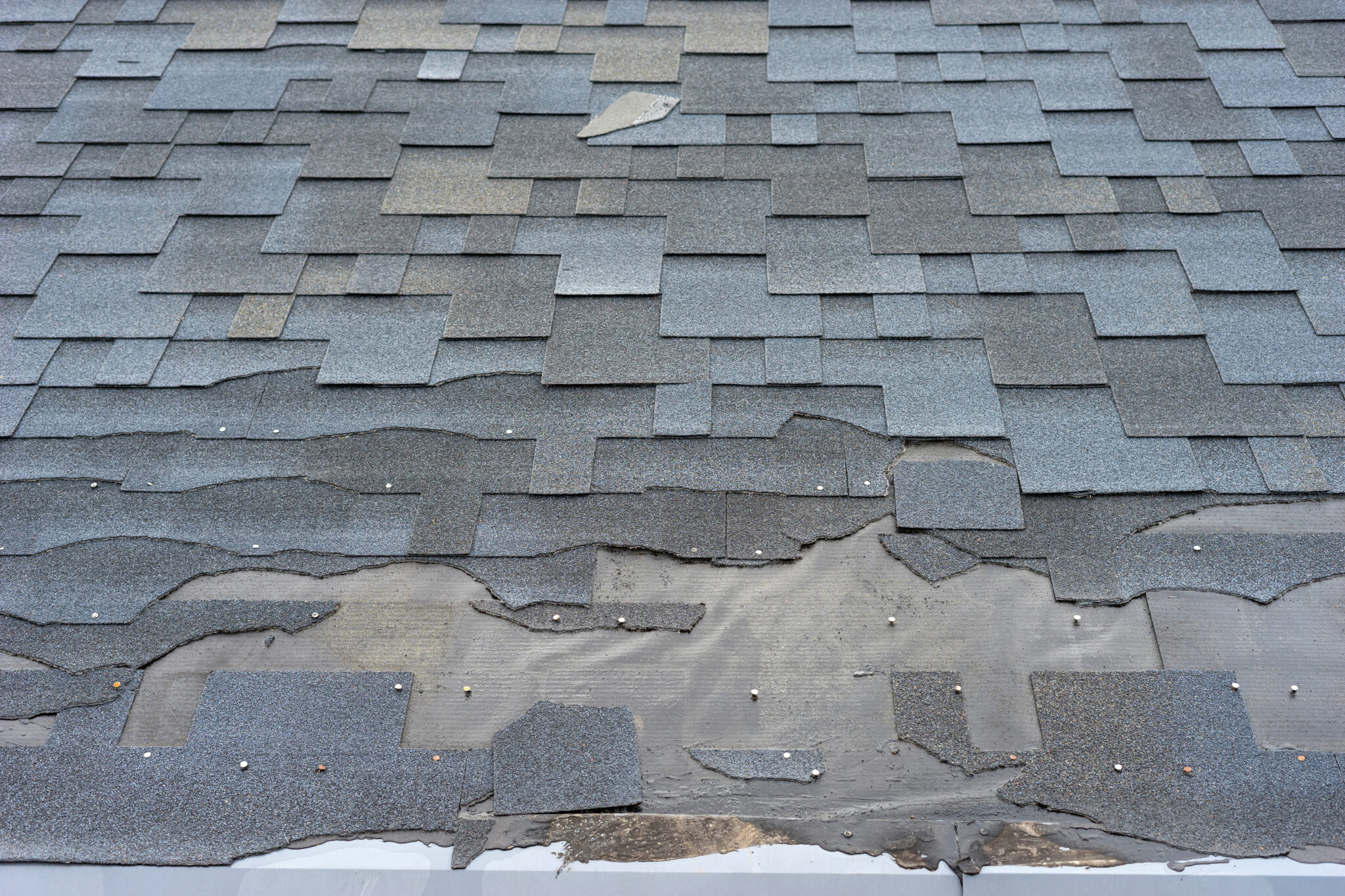 Common Types of Roof Damage | Leverage Roofing Blog